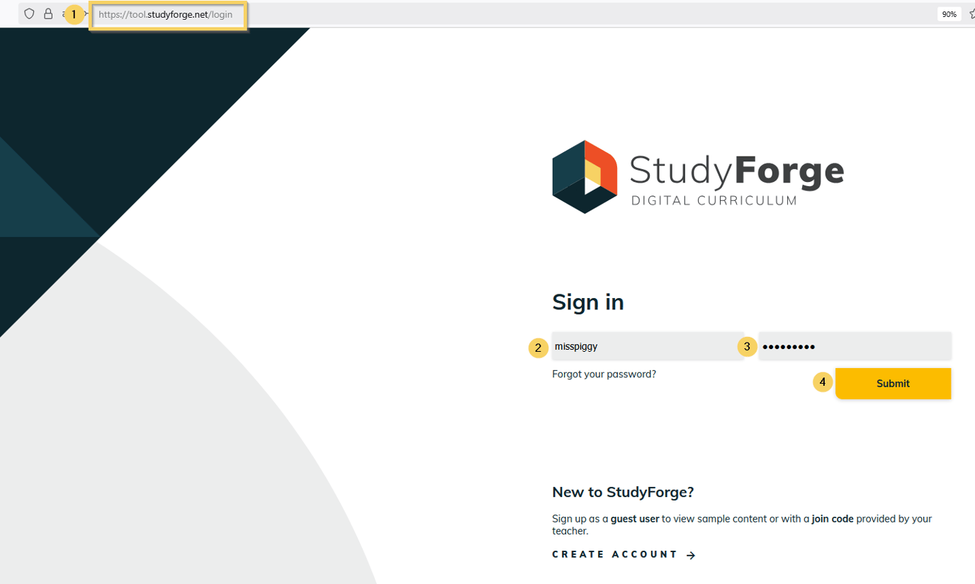 How do I log into StudyForge directly?